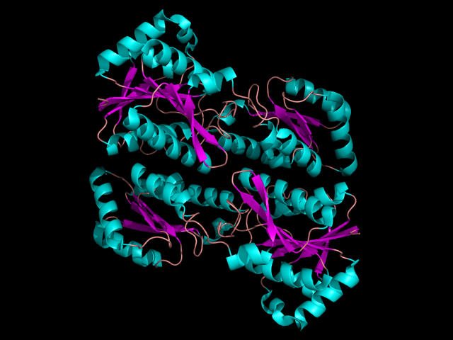 Phosphofructokinase-1: Visual Representations of PFK-1