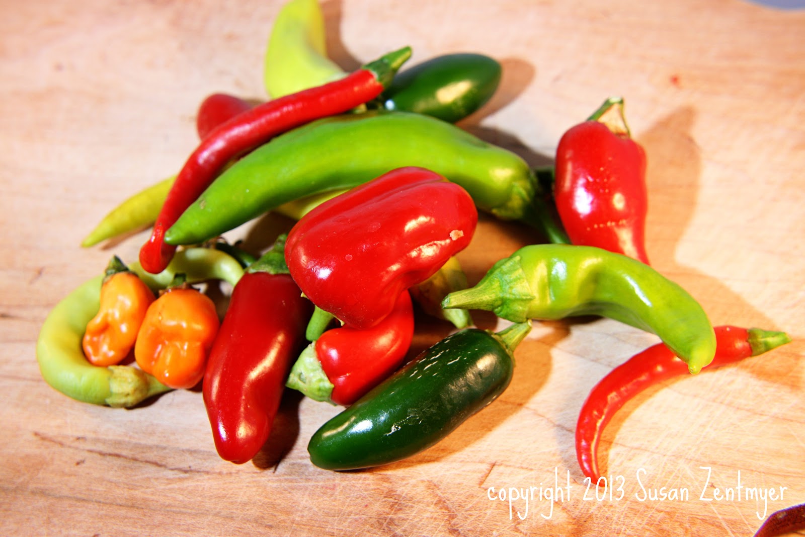 What To Do When You Touch Hot Peppers at Timothy Samons blog