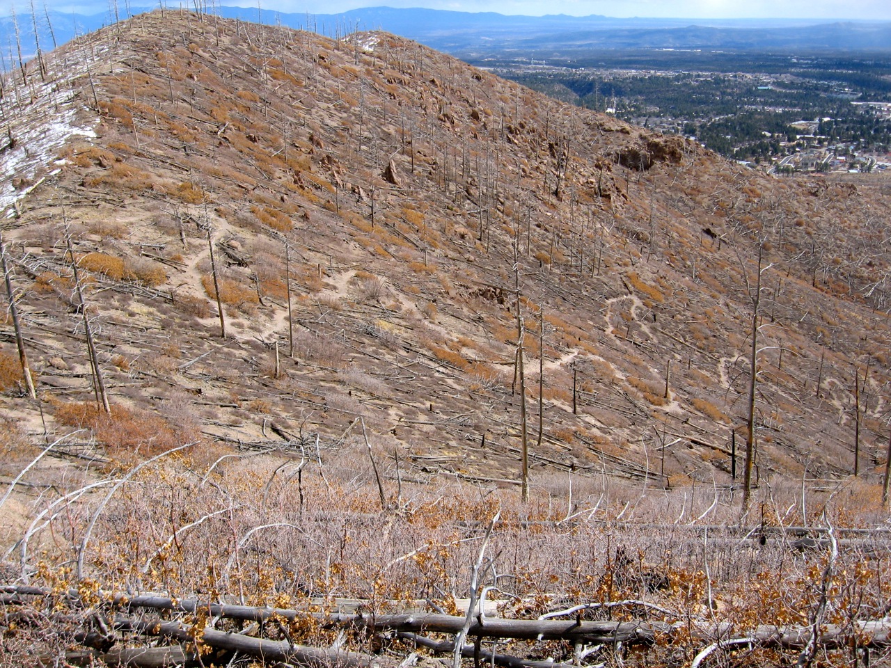 Los Alamos, New Mexico: Mitchell Trail-Guaje Ridge Trail Quest