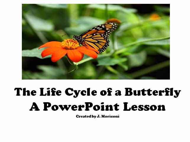 First Grade Gallery- Lessons for Little Learners: Life Cycles in the ...