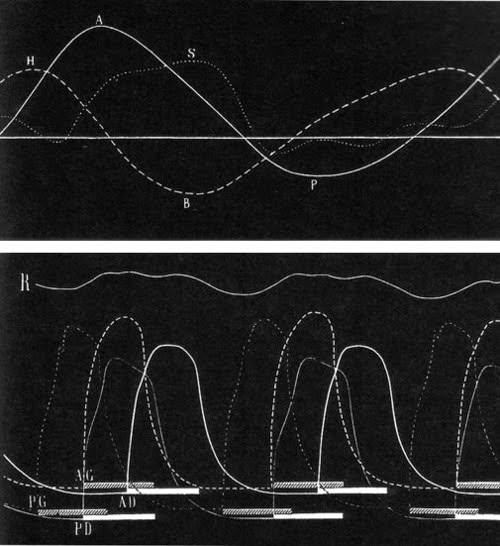 VIDEO CIRCUITS: Étienne-Jules Marey & Georges Demeny