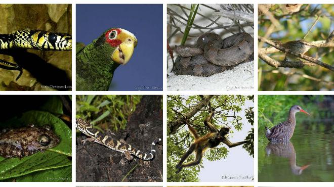 ÁREAS NATURALES PROTEGIDAS DE YUCATÁN