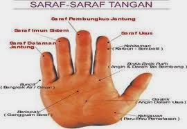 v...........: Penyakit Boleh Diketahui Melalui Urat Saraf Jari Anda
