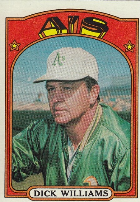 The Chronicles of Fuji: The Mustache Gang