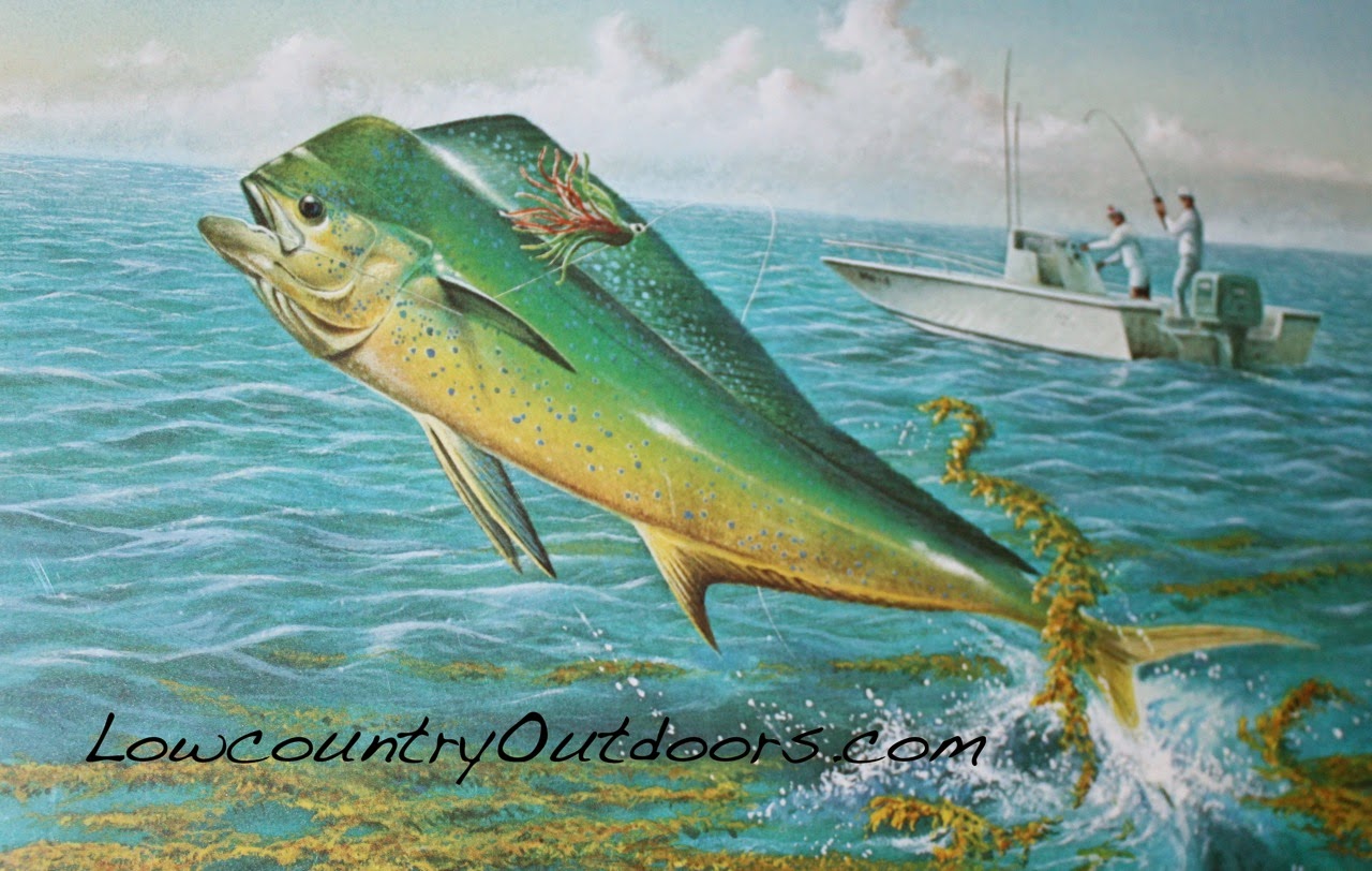 Lowcountry outdoors: Lowcountry Saltwater Fishing Report - 6/10/2014