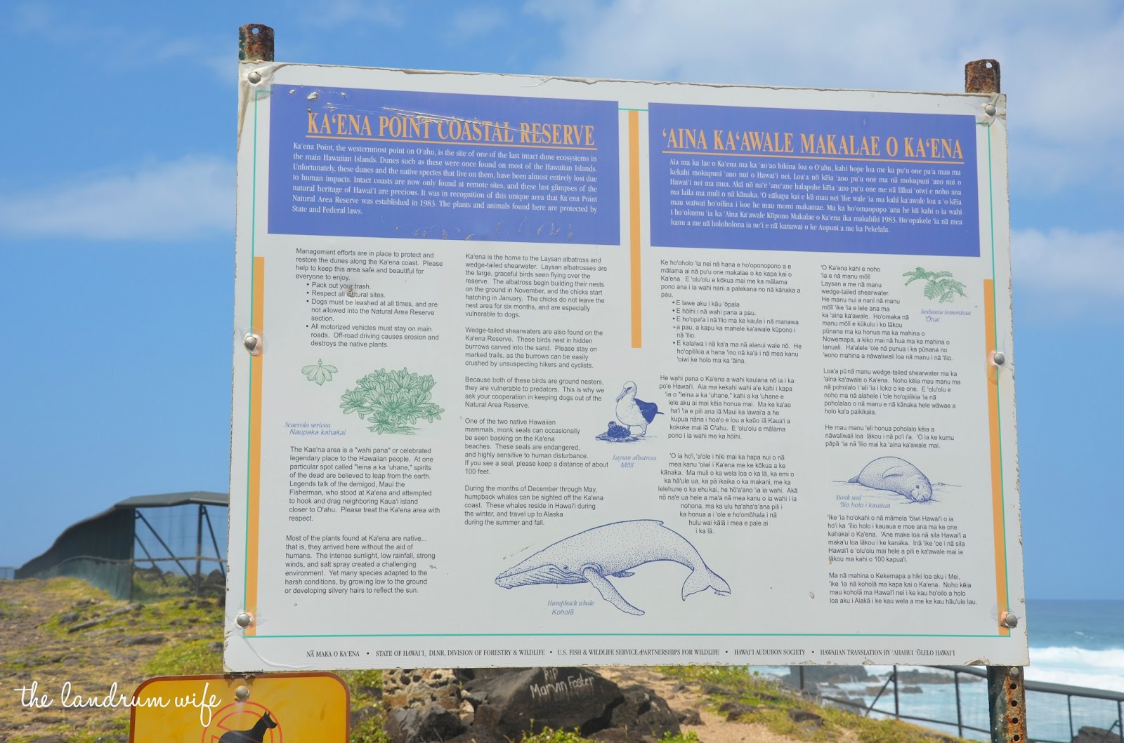 And Drink the Wild Air: Getting to Know Hawaii: Ka'ena Point Trail ...