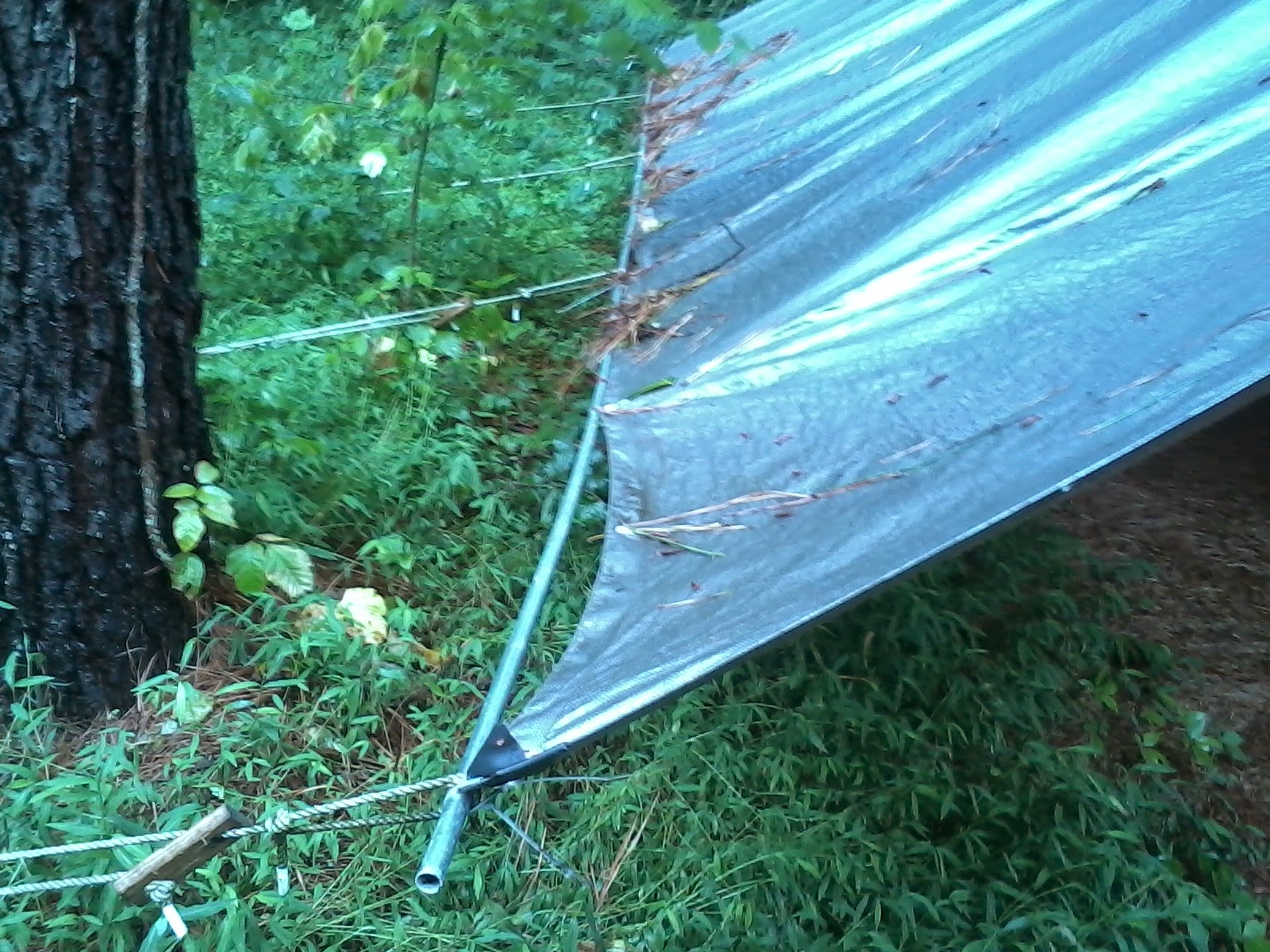 Tent Living: Time for a New Roof