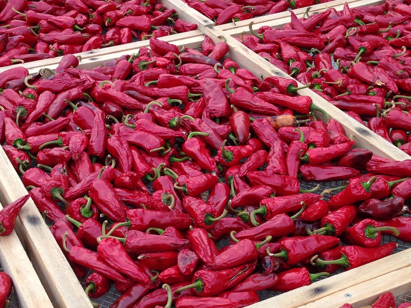 La Cocina de la Silbi: PAN DE PIMIENTO DE ESPELETTE