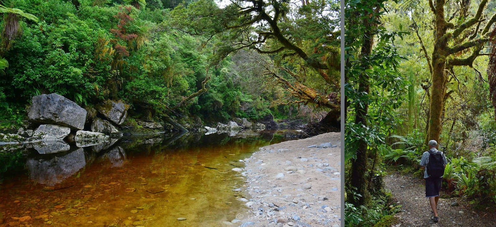 Two Go Tiki Touring: Lost World- The Oparara Basin