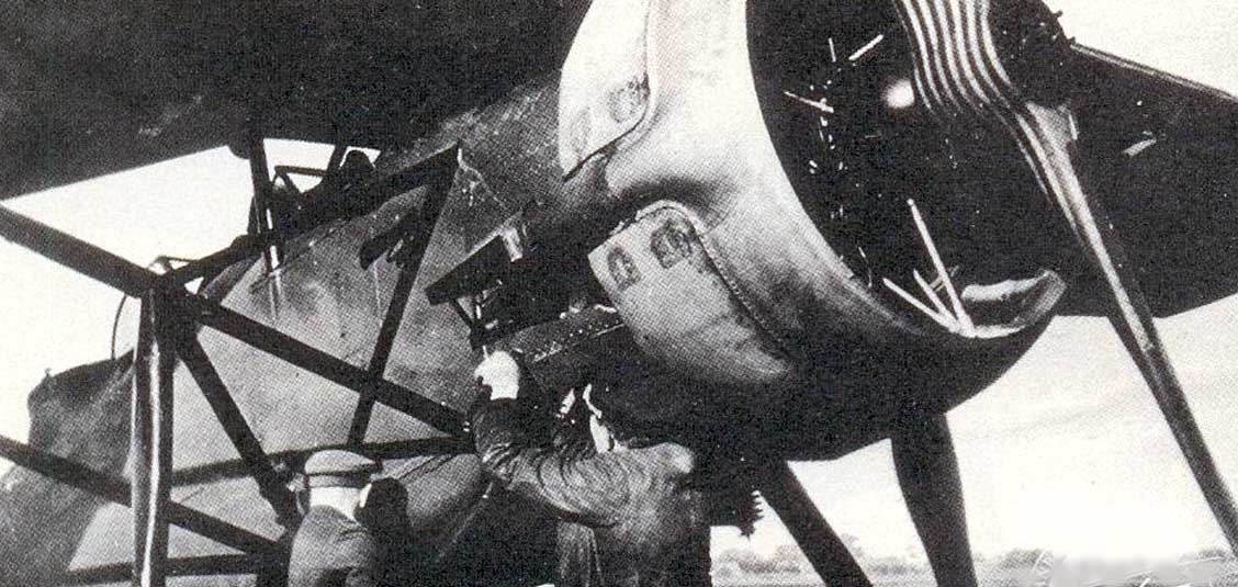 nhungdoicanh: ANBO IV/41