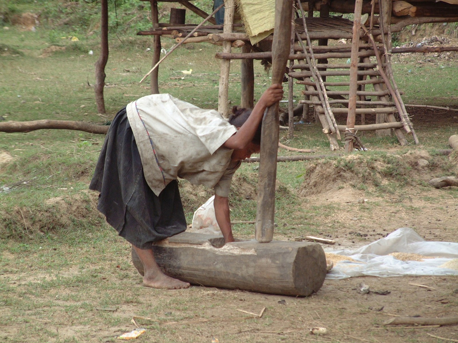 Mindoro 21st Century Association: Pamago