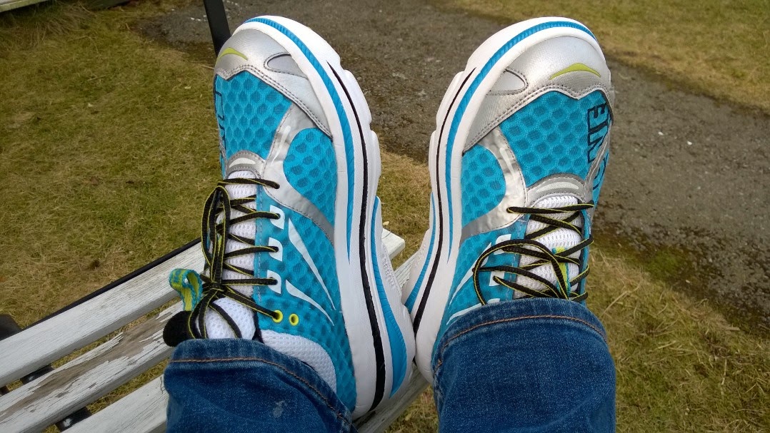 Hverdag - mer eller mindre...: Nye spasersko