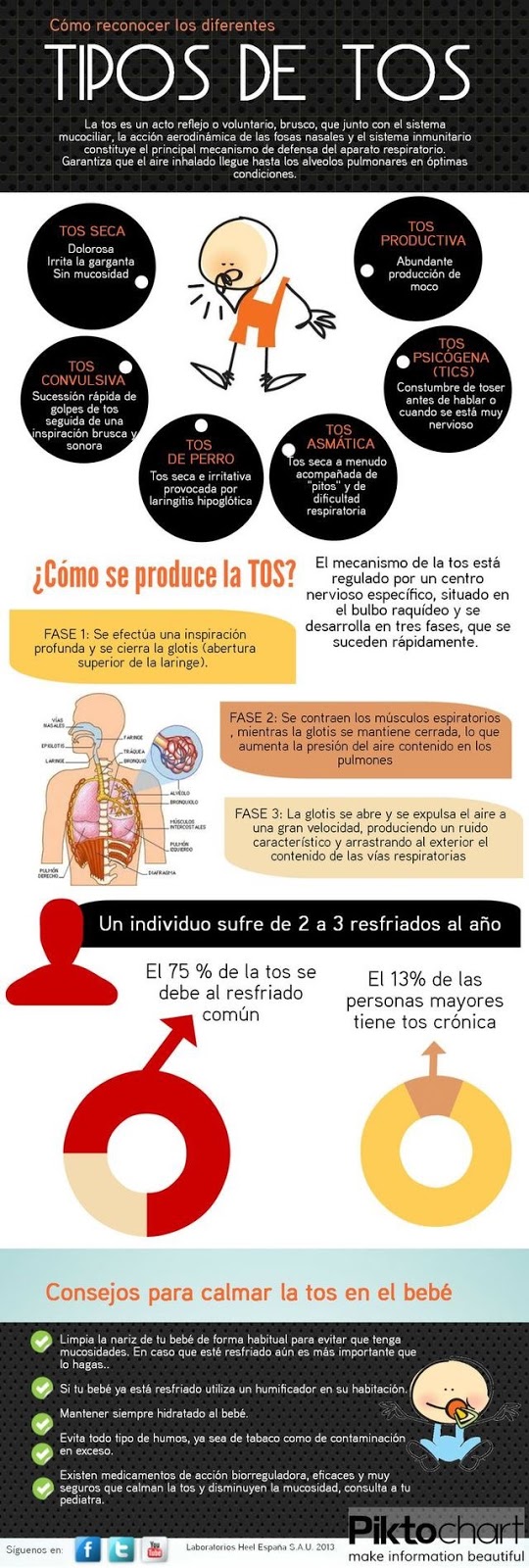 Infografias: Cómo reconocer los diferentes tipos de tos