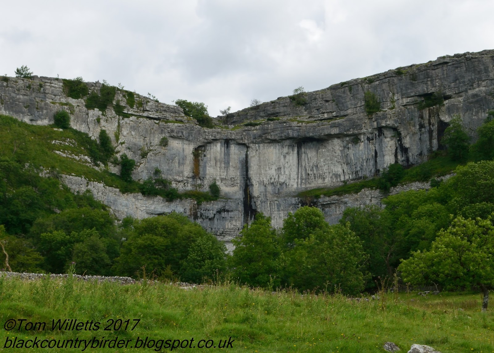 Two Black Country Birders: Malham Cove, Yorkshire Dales