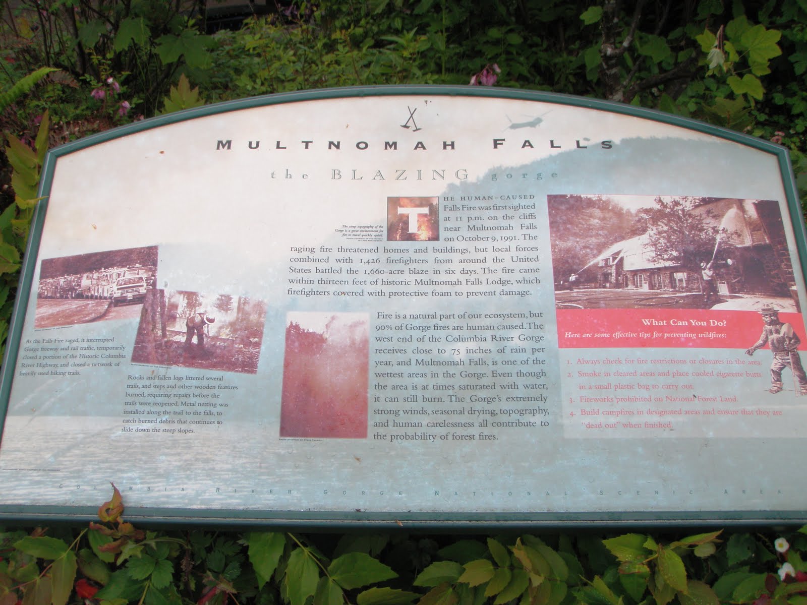 Lone Rider Pedals: Portland, OR to Hood River, OR -- 67 miles & Hood ...