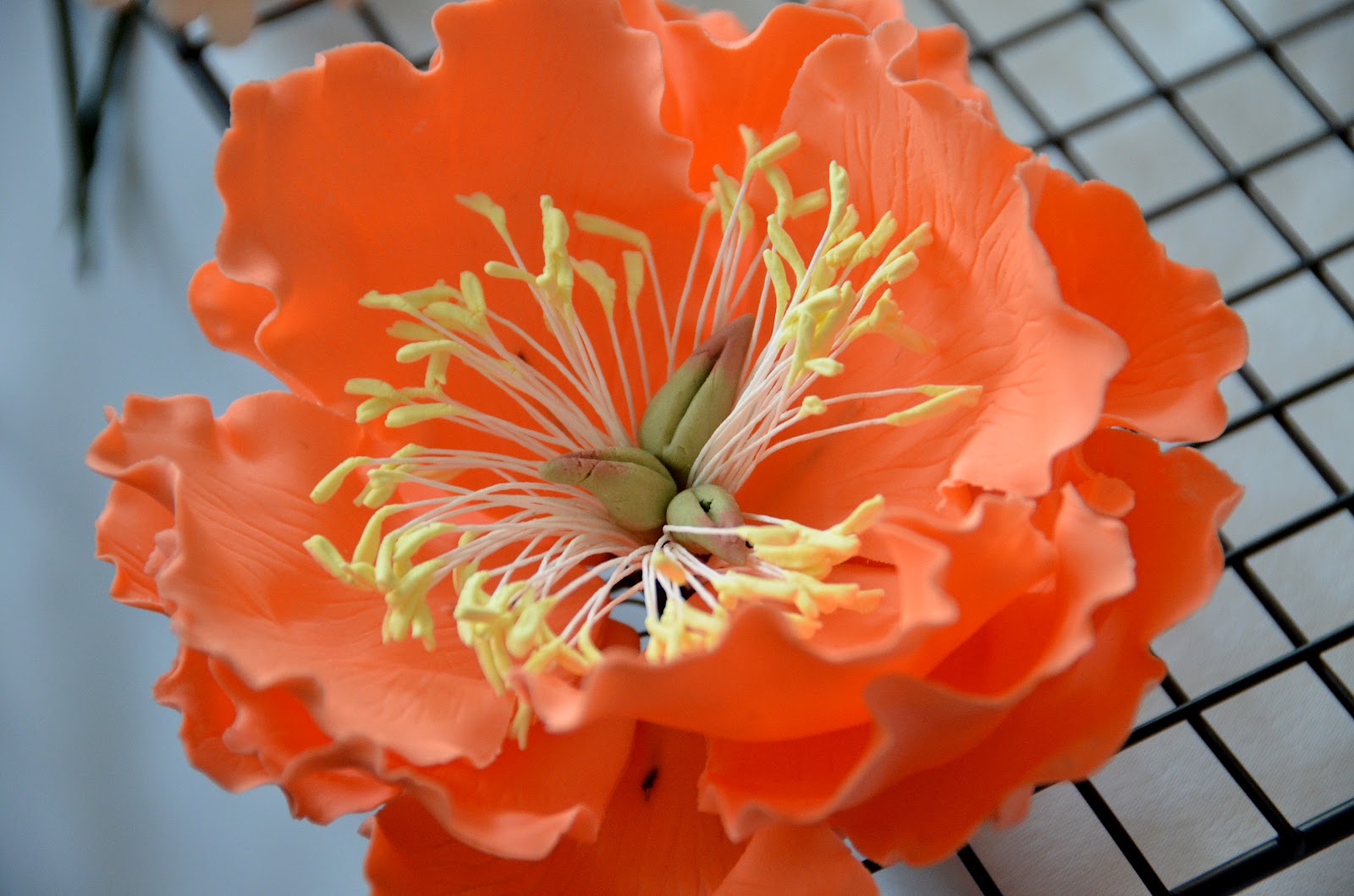 Shiv's Sweet Delights: How to: Make the Open Peony Gum paste flower?