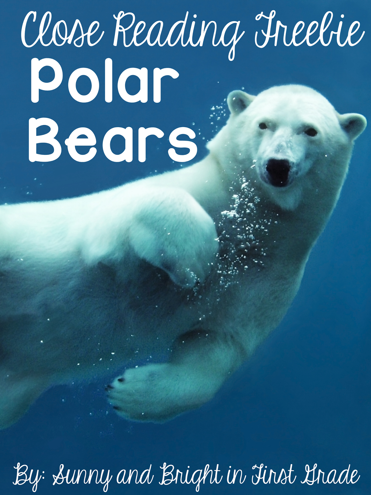 Classroom Freebies Too: Polar Bear Close Read