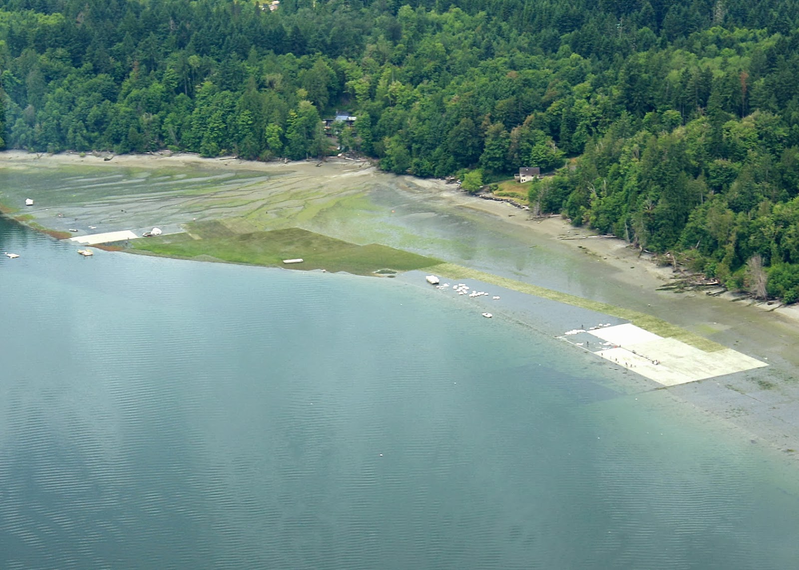 Protect Our Shoreline News: Dive Harvesting of Nearshore Geoduck Farms ...