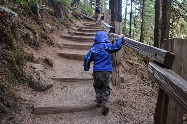 Fearfully and Wonderfully Made: Unforgettable Adventures at Olympic ...