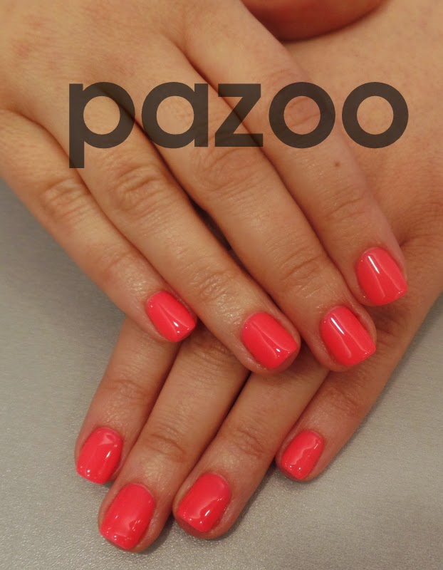 PAZOO BLOG: CORAL