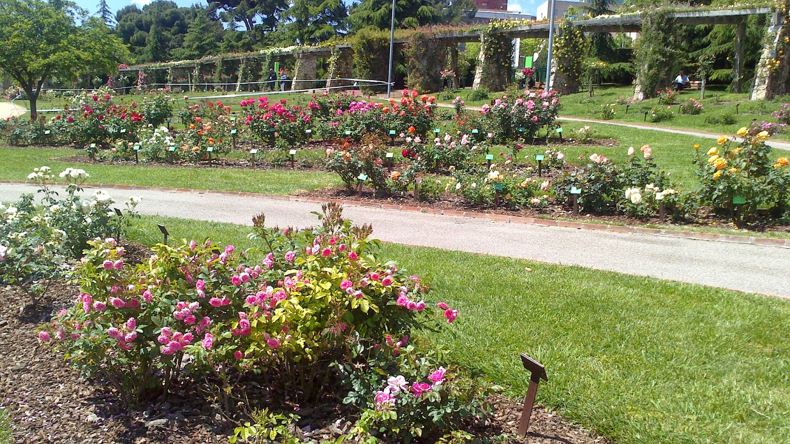 Pequeña montaña (senderismo en familia): Parque Cervantes