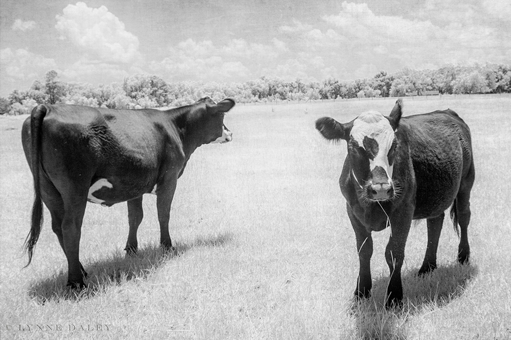 Photo-per-Diem-A Photography Blog: 2013