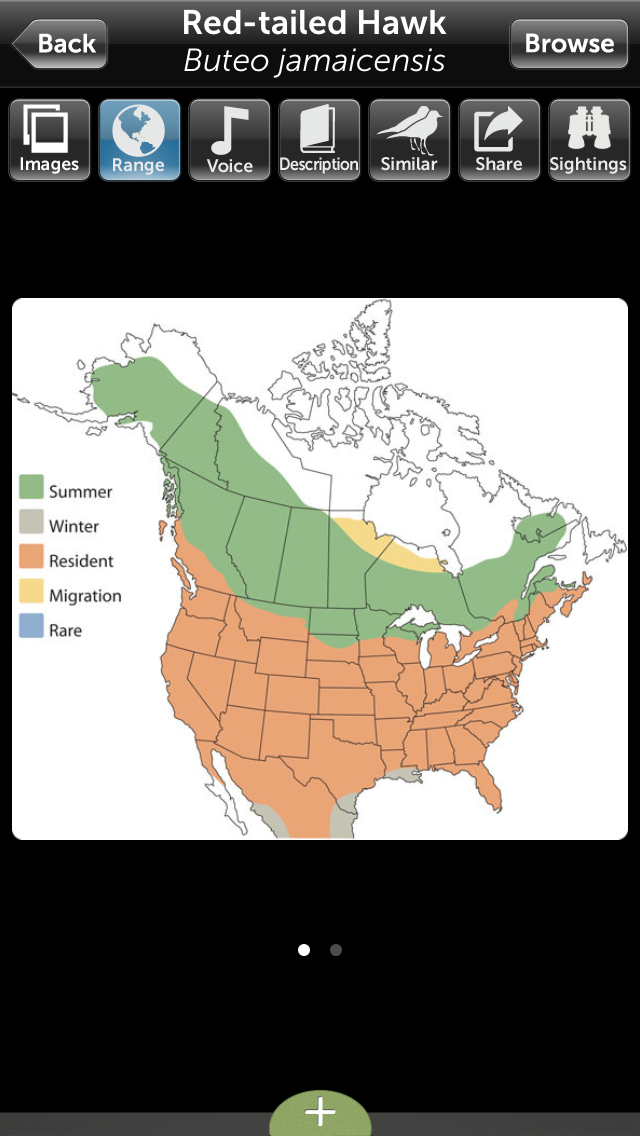 Birding Is Fun!: Audubon Birds App Update