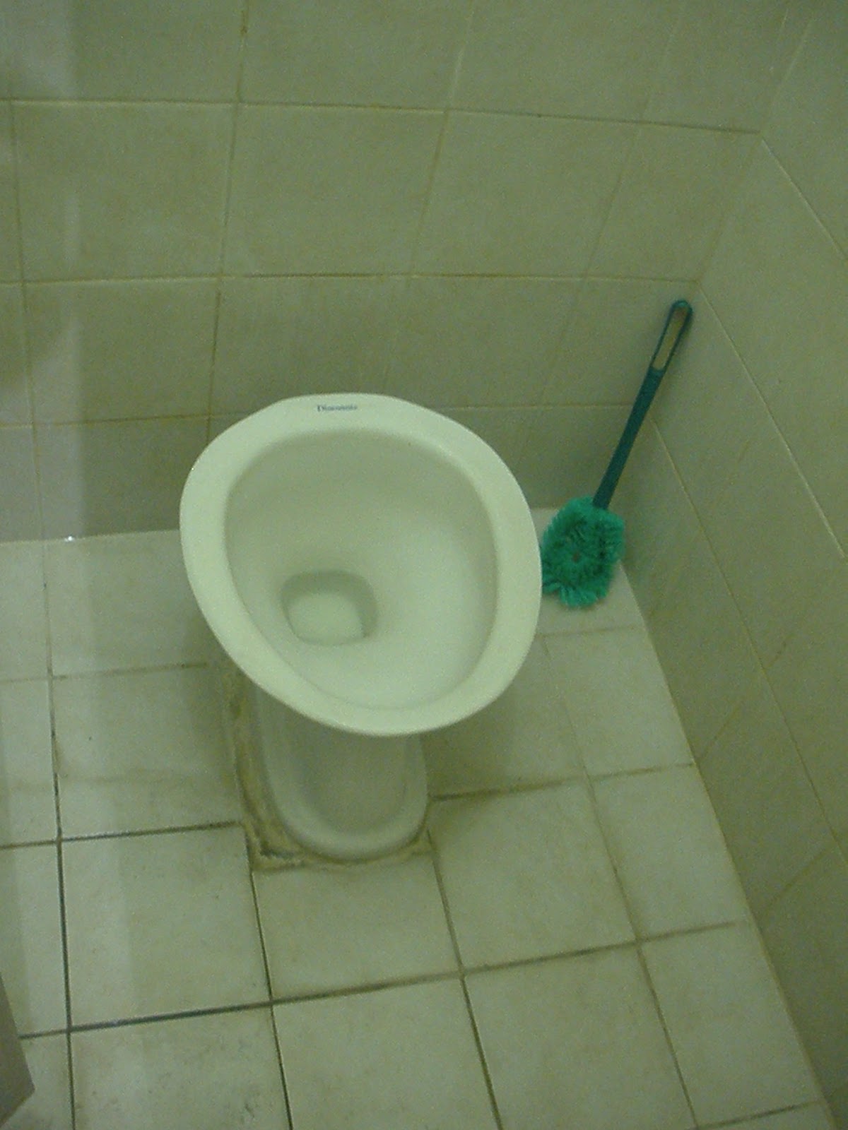 kathryn's blog: Toilet Etiquette