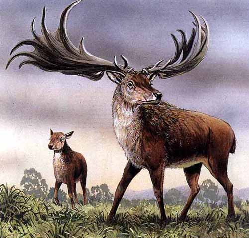 Escenarios prehistóricos: Megaloceros