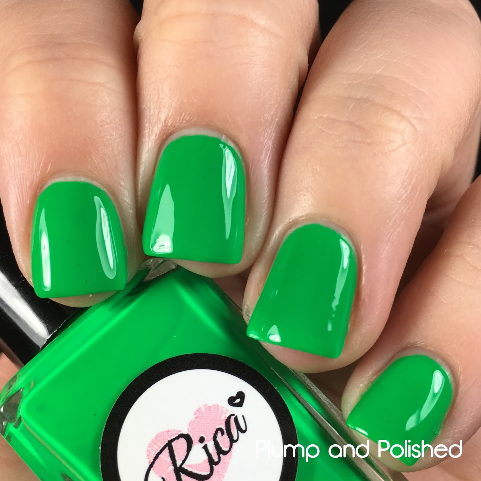Plump and Polished: Rica - Down the Shore Collection