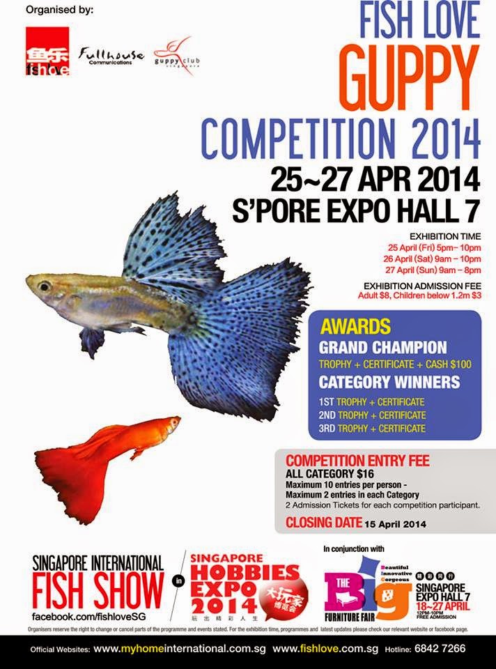 Tropical Fisher Man Fish Tanks And Aquarium CRS: Fish Love Guppy ...