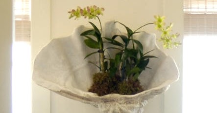 Giant Clam Shells | Decorating Ideas - Coastal Decor Ideas and Interior ...