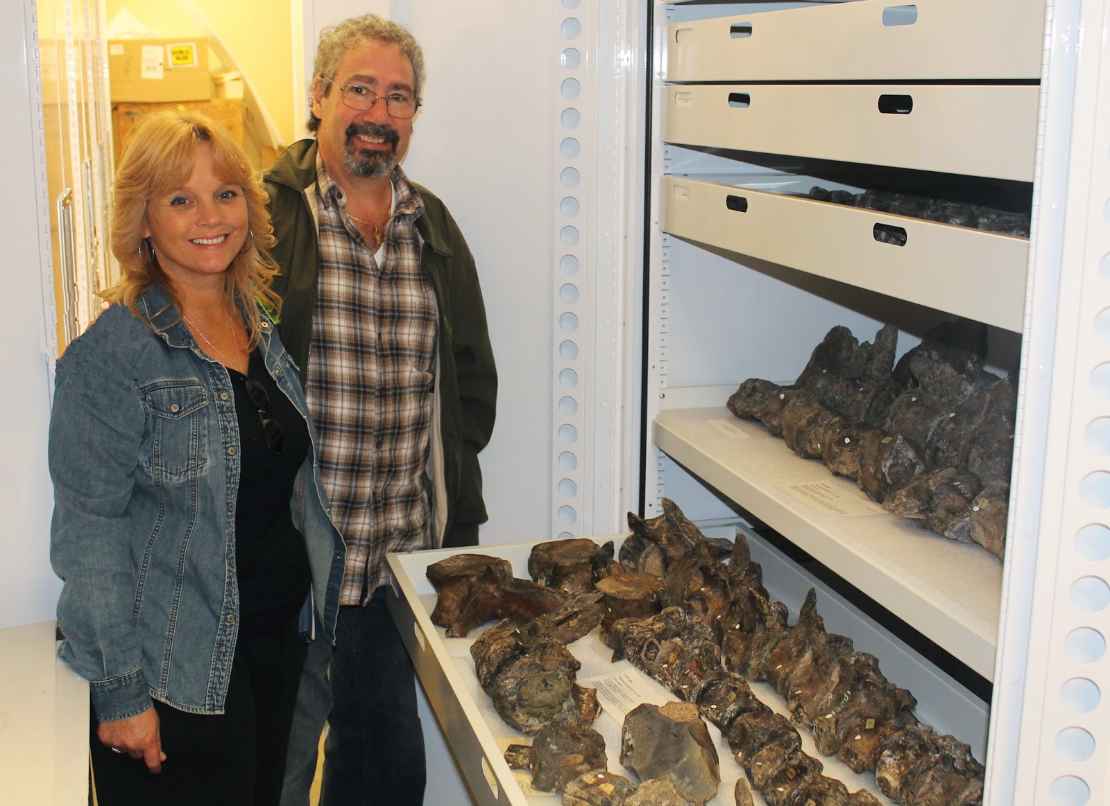 The Kaʻū Calendar News Briefs, Hawaiʻi Island: Jun 10, 2014