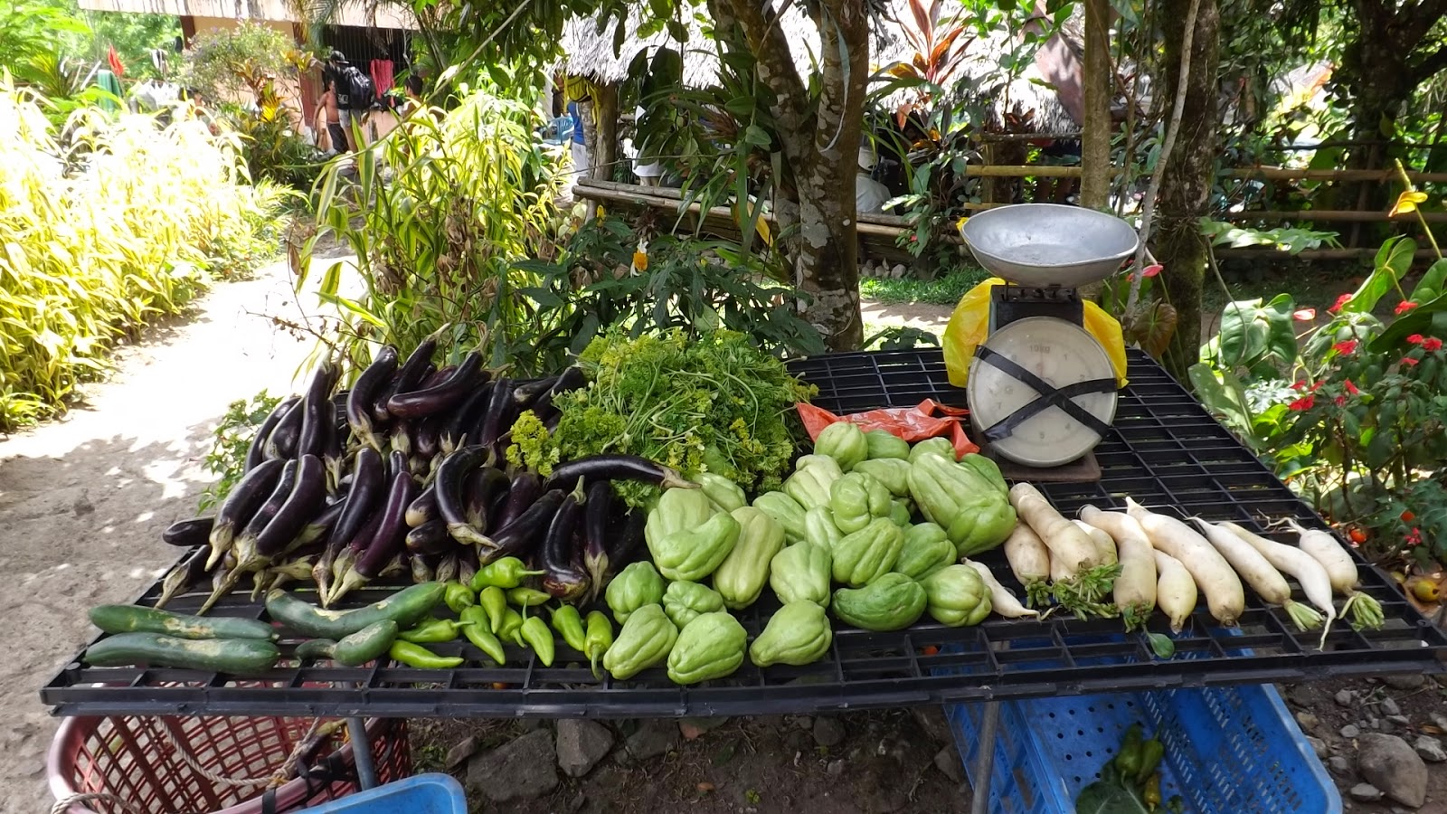 PATAG ADVENTURES GUIDE - Touristang Pobre