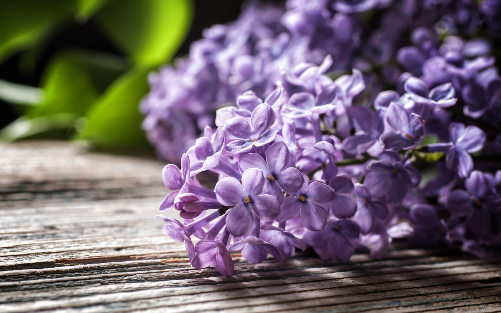 10+1 tavaszváró háttérkép | 2018 - Zsuzsiii's Life Style