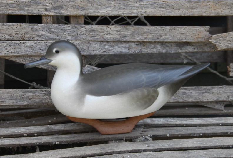 Keith Mueller Bird Carvings: Sea Bird Decoys 1 (Test)