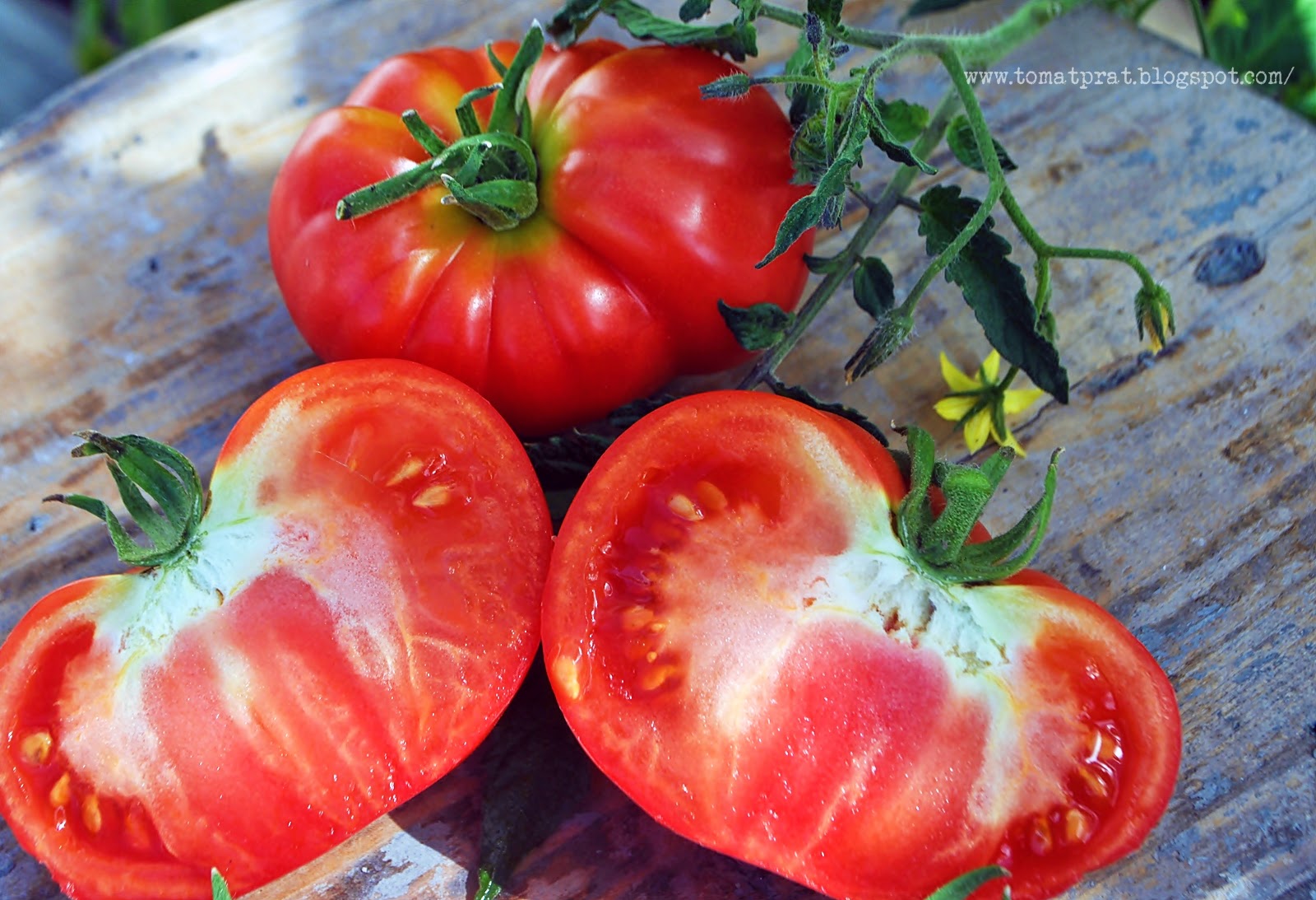 Talkin' Tomatoes with Helene: Oxheart Tomato