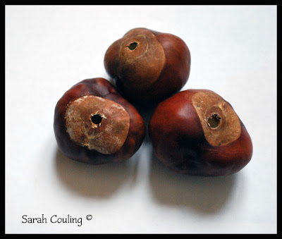 Going Conkers! Conker Decoration tutorial. - Sarah's Creative Outlet