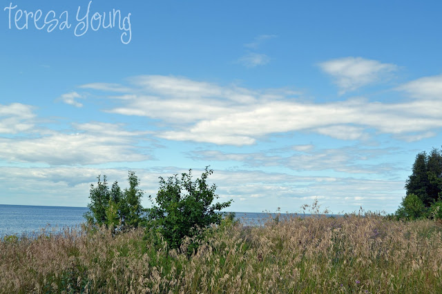 The Adventures of Teresa and Luna: Chateau Hutter