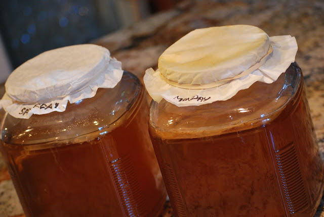 Off The Cuff Cooking: Kombucha