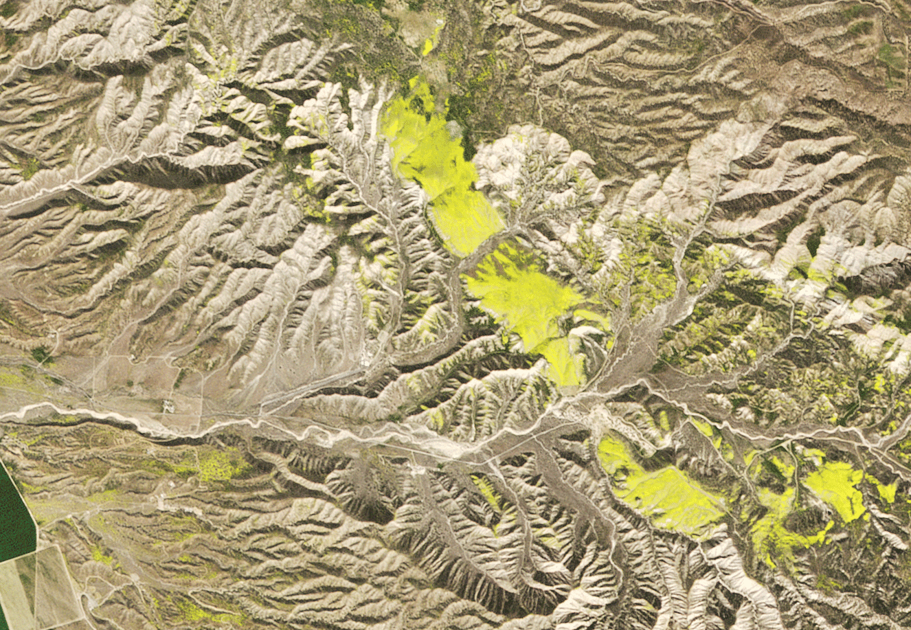California's Wildflower Super Bloom seen from Space | Earth Blog