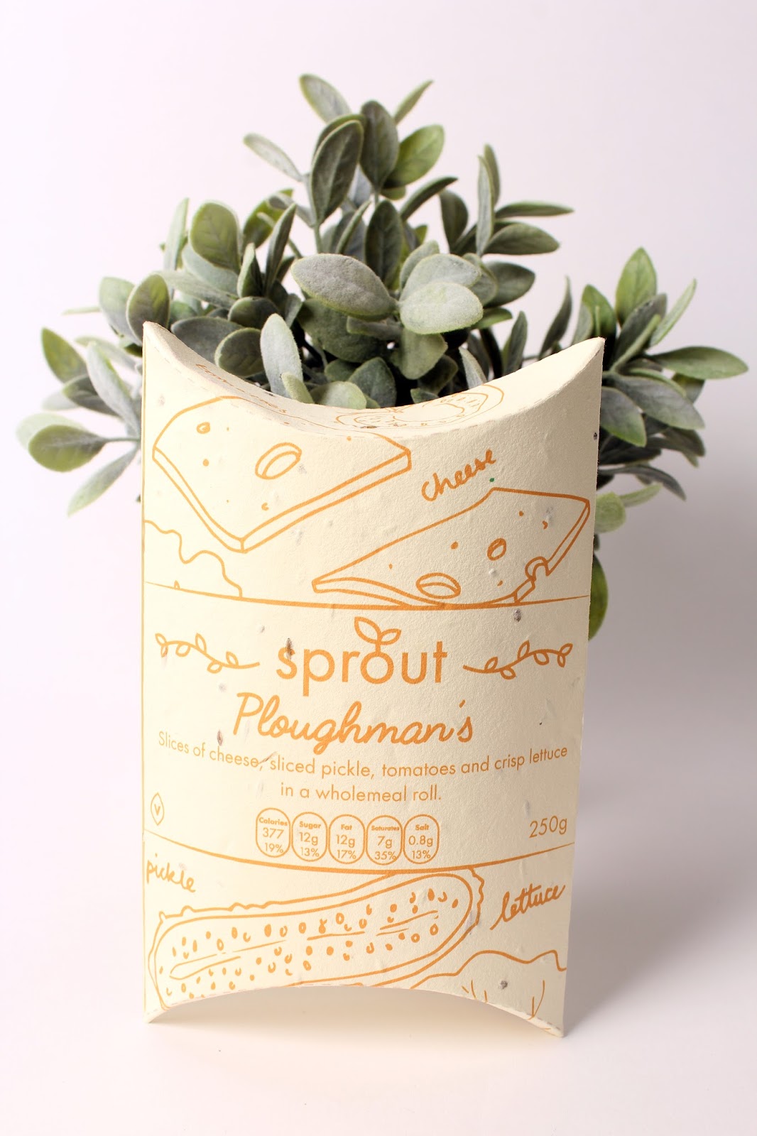 Hattie Windley - Graphic Design: OUGD601 - CoP Practical - Sprout Final ...