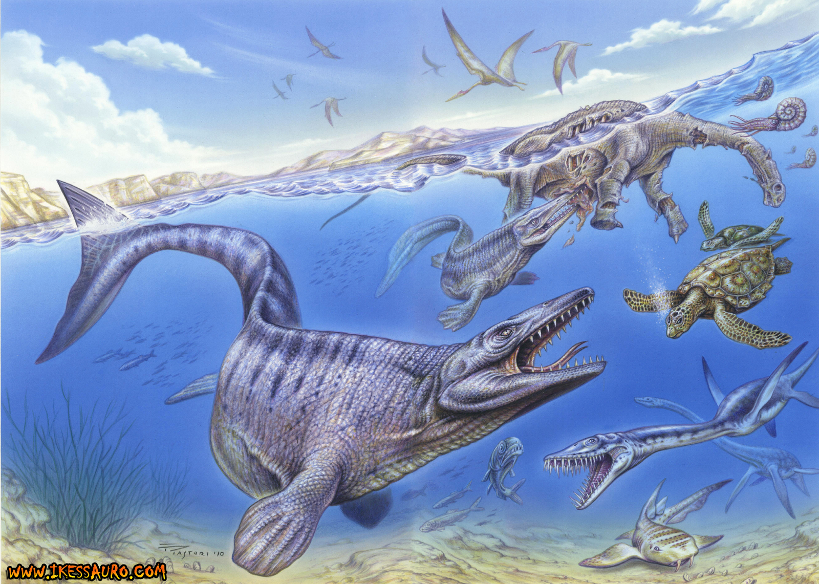 Tylosaurus | Ikessauro