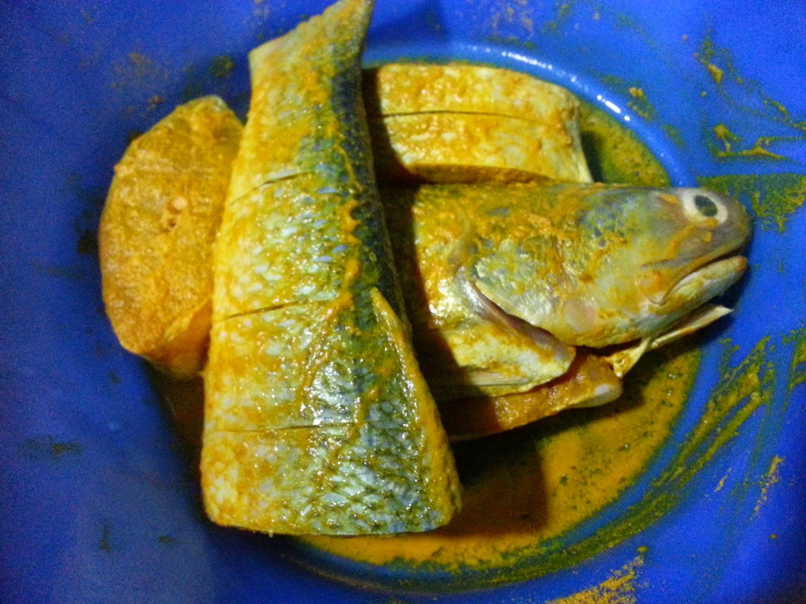 faizaleda: Ikan Senangin Masak Sos