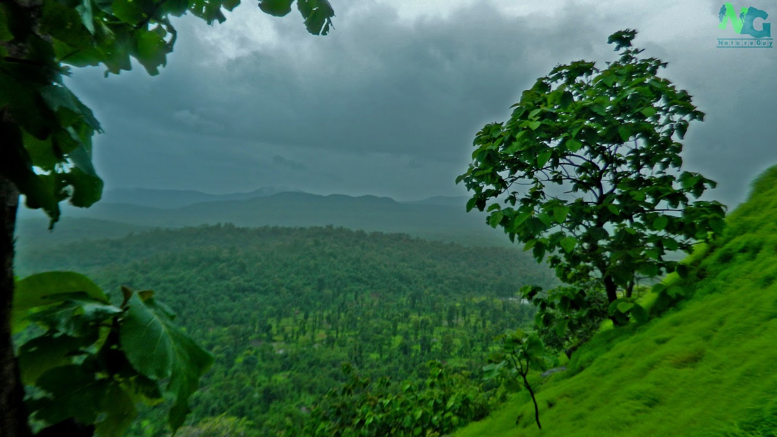 NatureGuy: Mandakini aka Mandagni mountain trek | Ganeshpuri | Vajreshwari