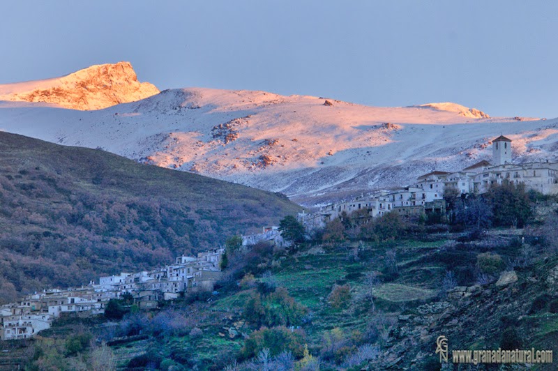 Cajón de actividades: Capileira ( La Alpujarra )