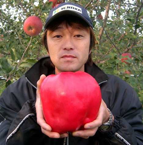 doubleREDapples: The World’s Largest Fruits