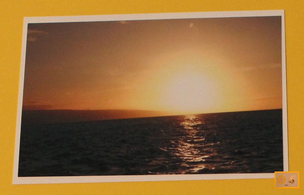 Created by Sunshine HoneyBee: Sunset Maui Hawaii Scrapbook Layout