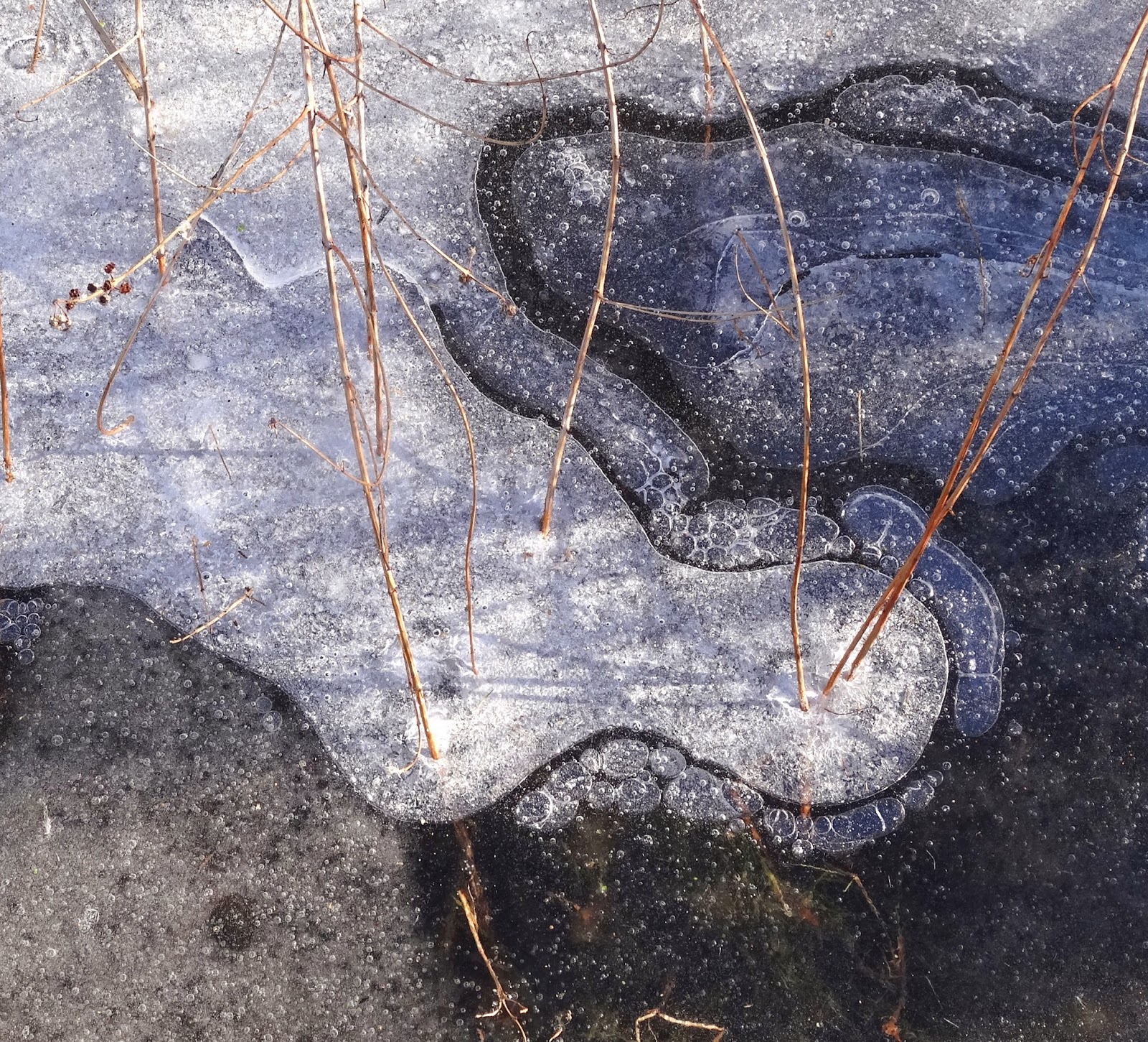 Joe's Retirement Blog: Ice, Bartlett Pond, Manomet, Plymouth ...