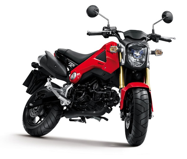Honda MSX 125 Mini Moto Vs Kawasaki KSR | New Motorcycle Review